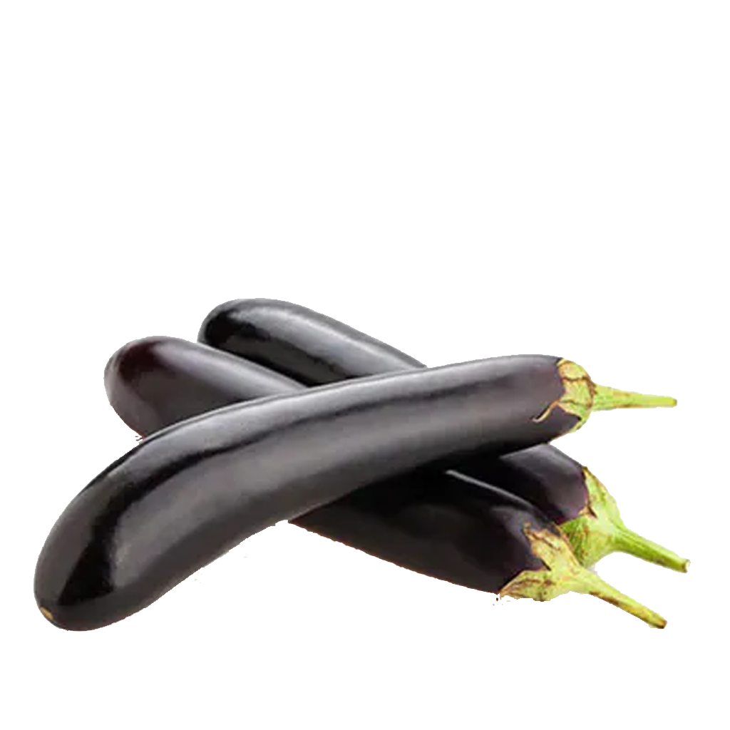 EARLY LONG PURPLE EGGPLANT Jojemiagroshop EARLY LONG PURPLE EGGPLANT Jojemiagroshop
